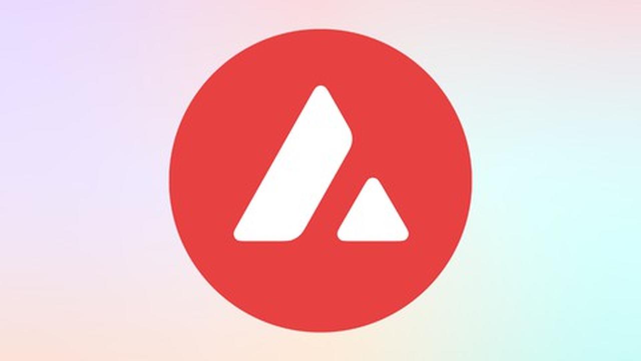 Udemy Gratis: Crea tu propia Whitelist dApp completa