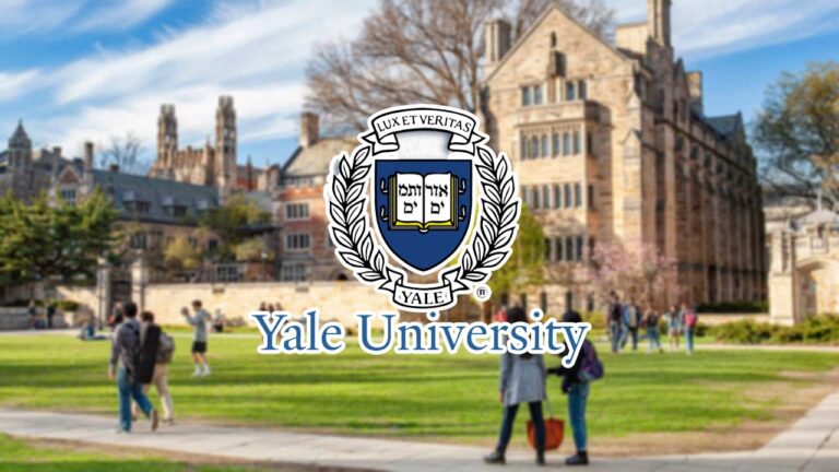 Desde liderazgo hasta finanzas: Así puedes acceder a los cursos gratis ...