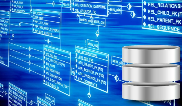 Aprende bases de datos desde cero con este curso gratuito