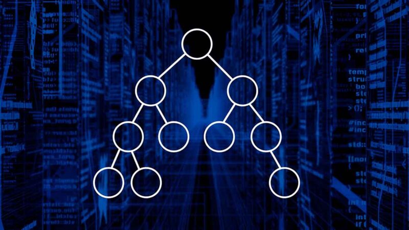 ¿Quieres destacar en programación? Aprende algoritmos con este curso ...