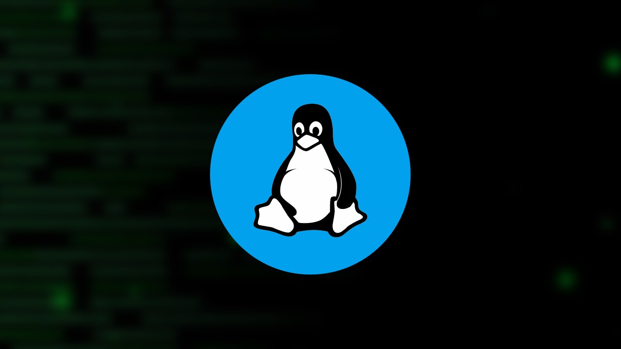 Aprende Kali Linux de la Mano de un Experto: Curso Gratis en Español