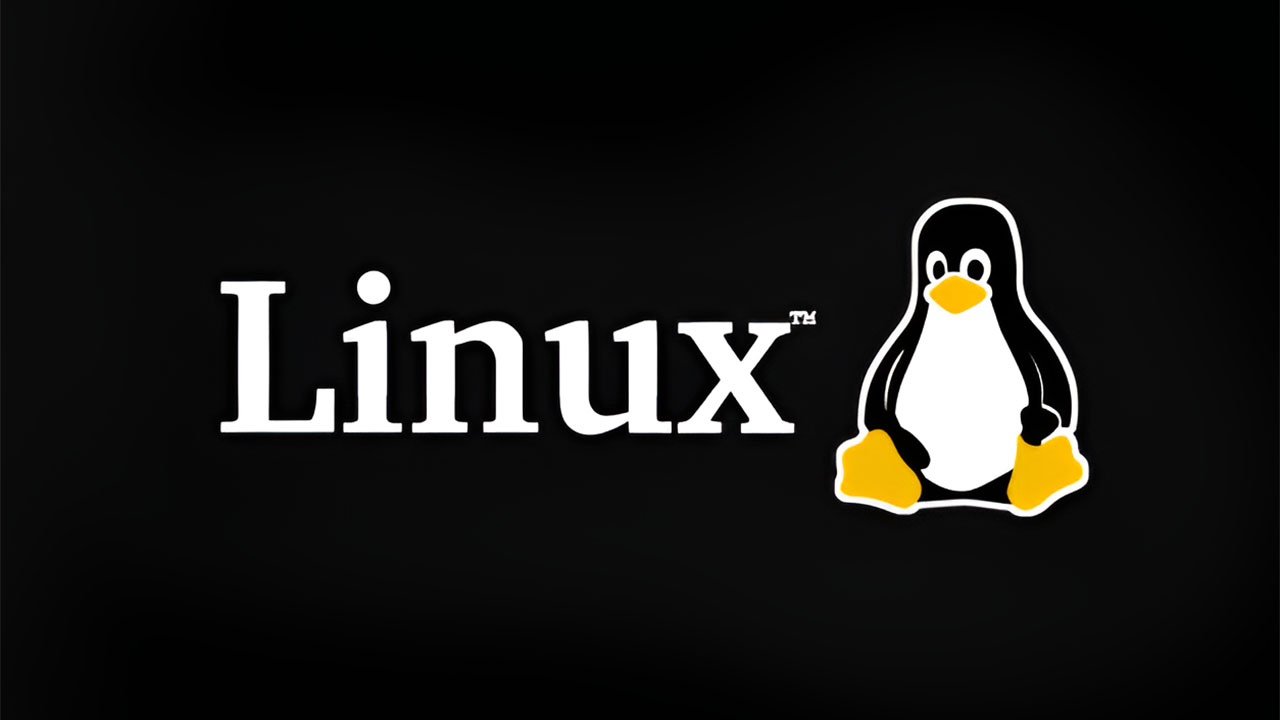 ¿Quieres aprender Linux gratis? La Universidad de Valencia ofrece un ...