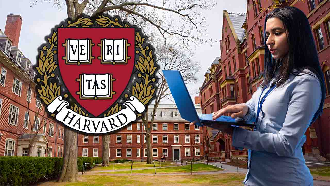 ¿Quieres ser científico de datos? Harvard ofrece curso gratuito con certificado oficial en línea