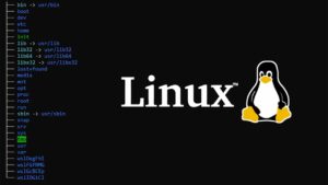 Cupón Udemy: Curso completo de Linux GRATIS con 100% de descuento