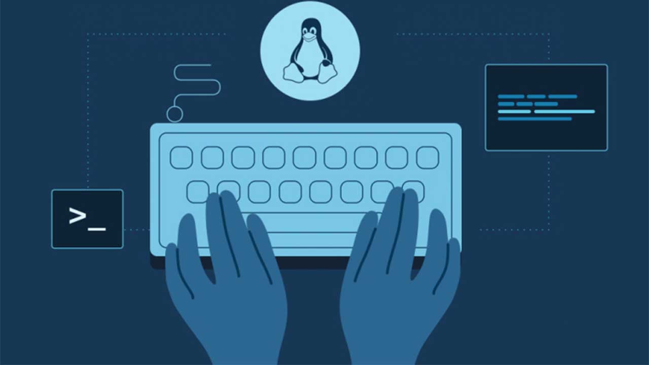 Curso gratuito Linux: Aprende los comandos que todo programador debería saber